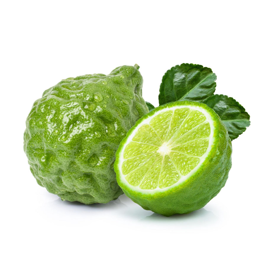 Discover Sukha Sanctuary – A Clean & Fresh Bergamot Scent | Sukhatara